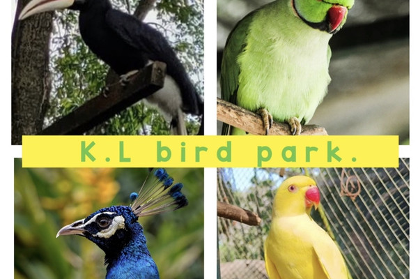 Fly over to KL bird park 🦅 | Trip.com Kuala Lumpur