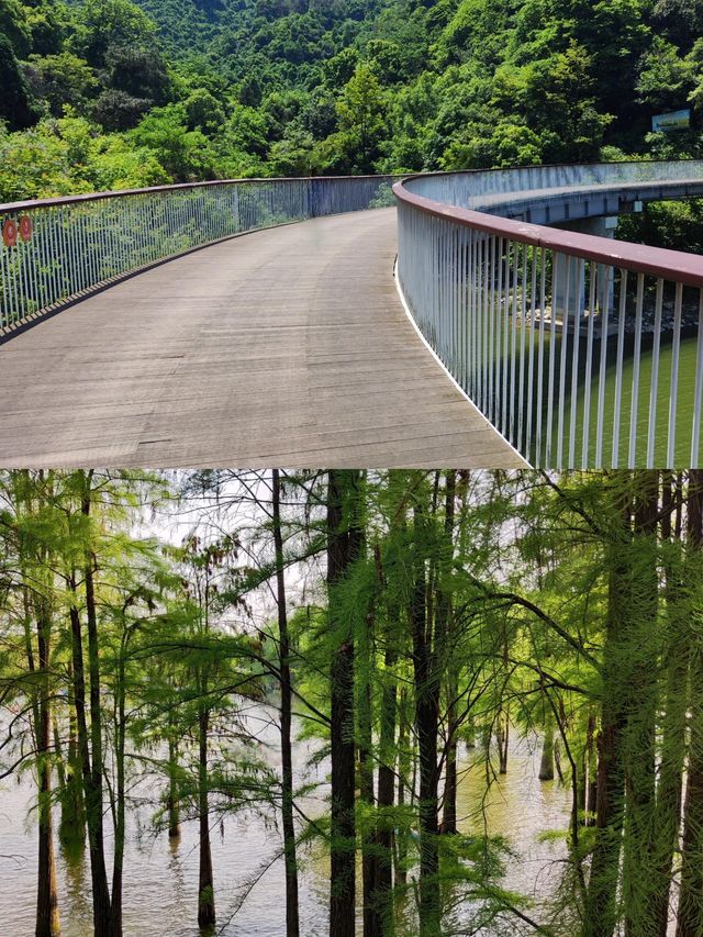 Heal Your Eyes at Qingshan Lake | Trip.com Hangzhou