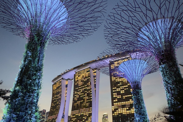 SG超級樹燈光秀：夜幕下的奇幻森林🌌🌳 ｜Trip.com 新加坡