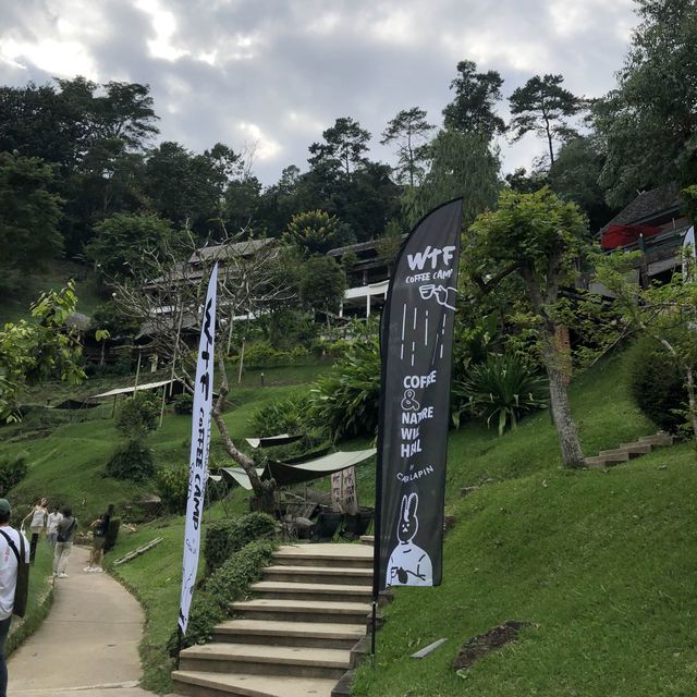 WTF Coffee Camp, Chiang Mai, Thailand 🇹🇭 | Trip.com Chiang Mai Ancient City