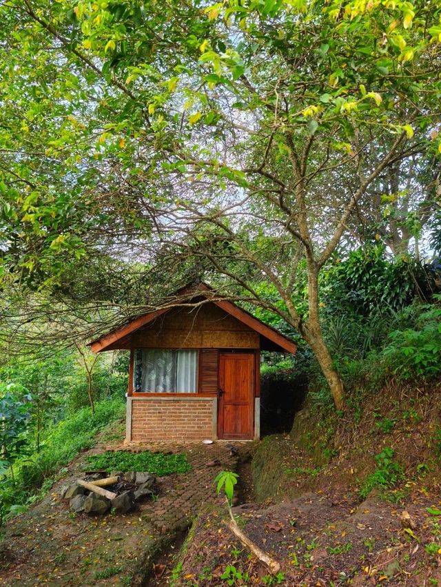平價民宿，無價體驗。｜Trip.com Mande