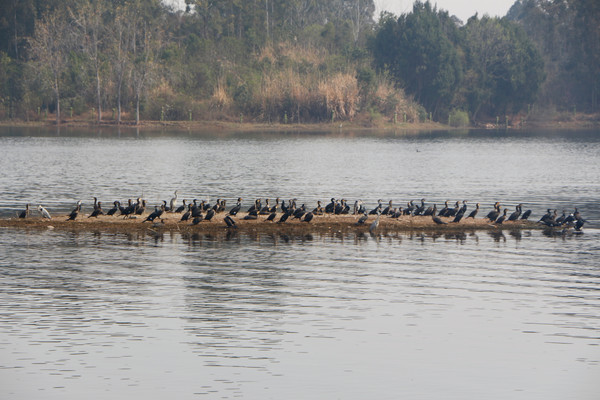 Fun Fact: Did you know that Lake Sancha is actually a man-made lake ...