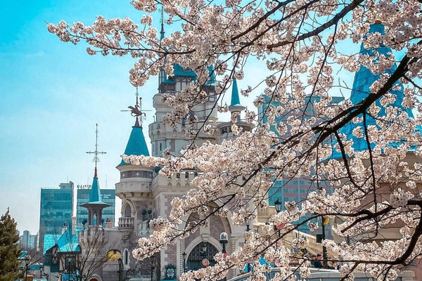 Spring in Seoul where to see cherryblossom | Trip.com Seoul