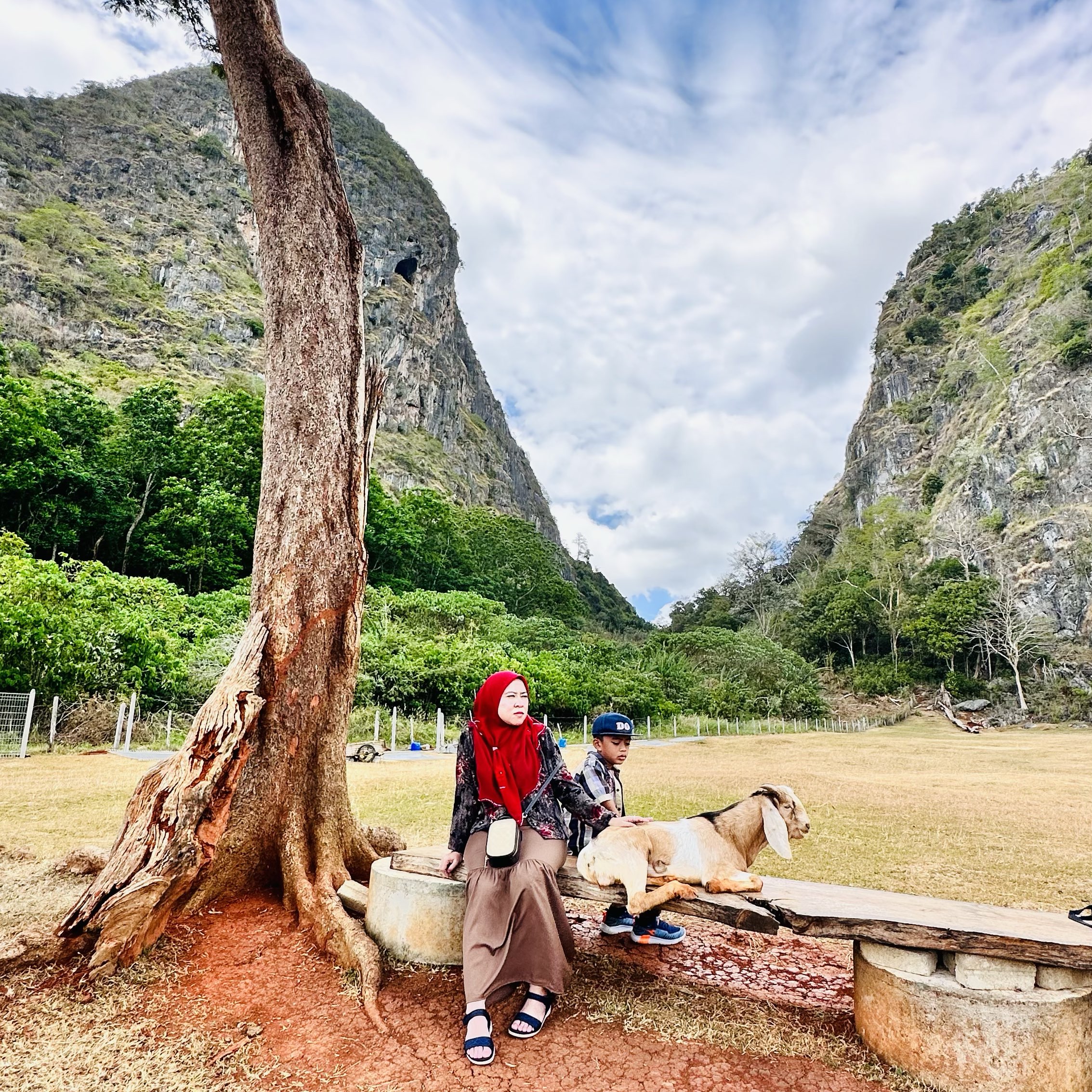 Things to Do in Perlis in 2024 - Top Attractions, Local Food, Hotels ...