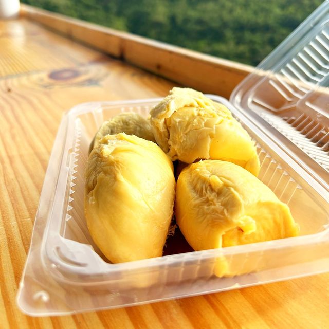 Anooh Coffee Love from the Mountain | Trip.com Kundasang