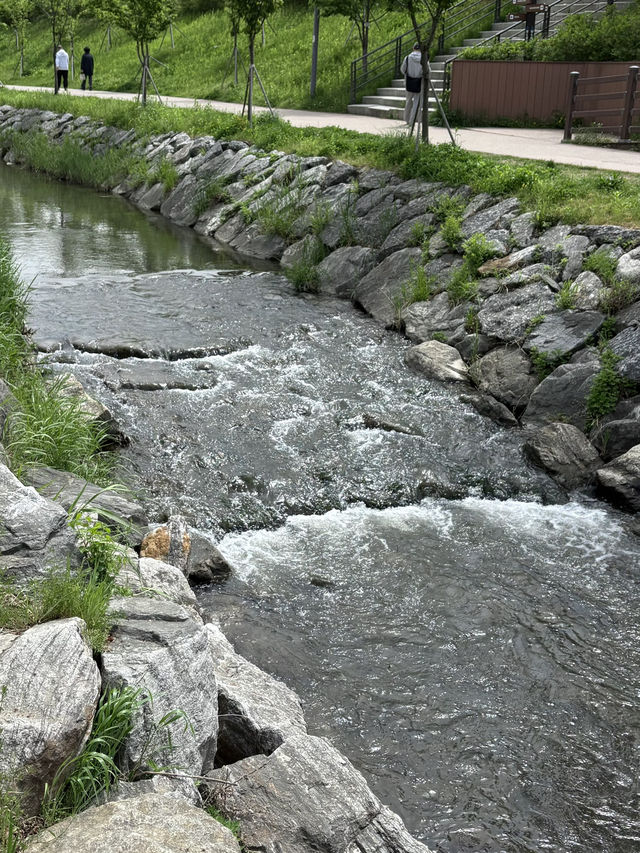 Walking Through the Colors of Spring, A Tulip Stroll at Misa Lake Park ...