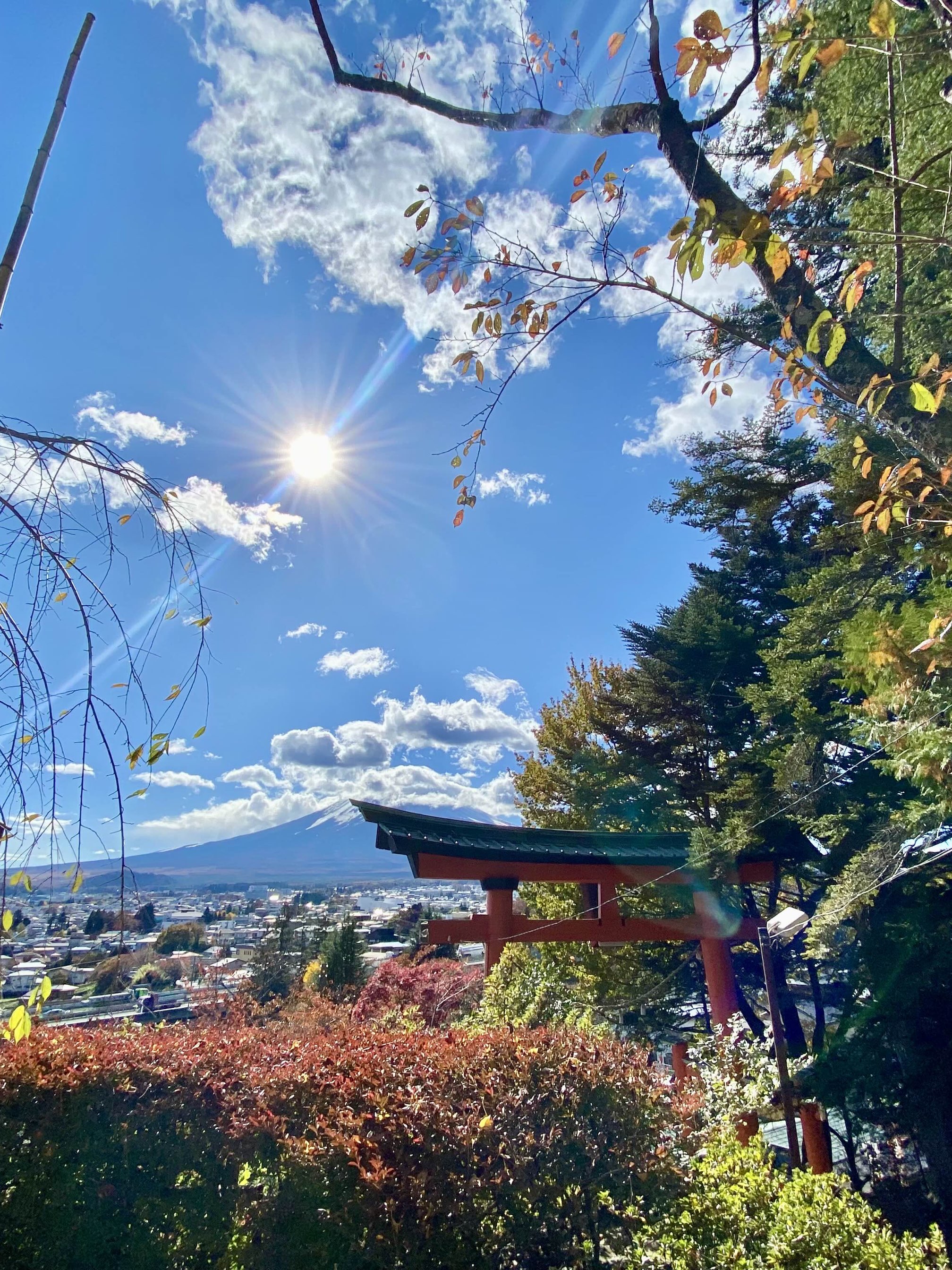 Fujinomiya Travel Guide 2024 - Things to Do, What To Eat & Tips | Trip.com