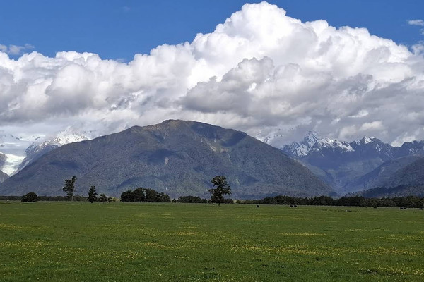 観光地🤍Fox Glacier Viewpoint / Te Kopikopiko O Te Waka | Trip.com フォックス・グレイシャー
