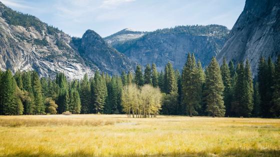 Things to Do in Fuyang in 2025 - Top Attractions, Local Food, Hotels ...