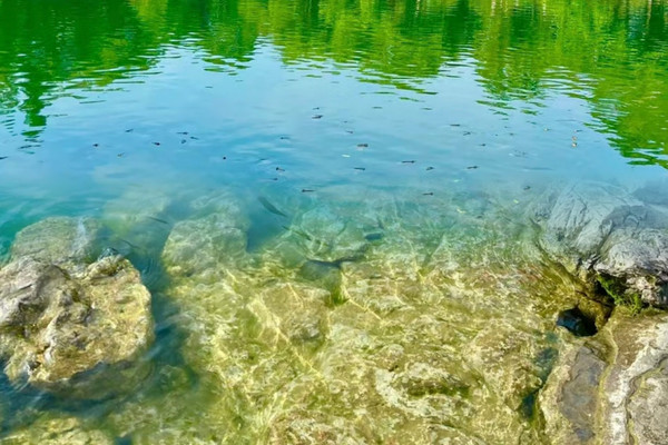 Nanjing! You are foolish not to promote this place! Nanjing's Little ...