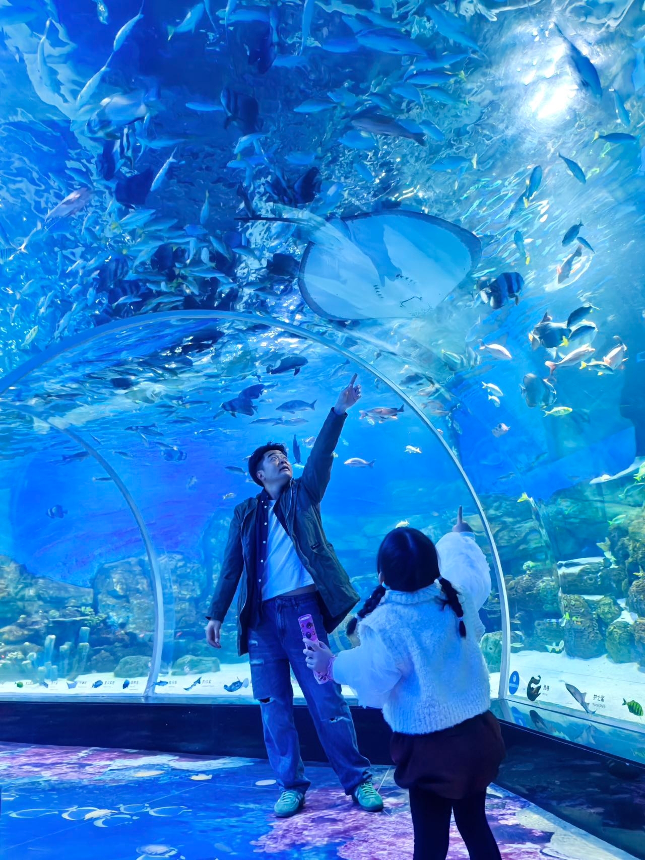 Things to Do in Shunde District in 2025 - Top Attractions, Local Food ...