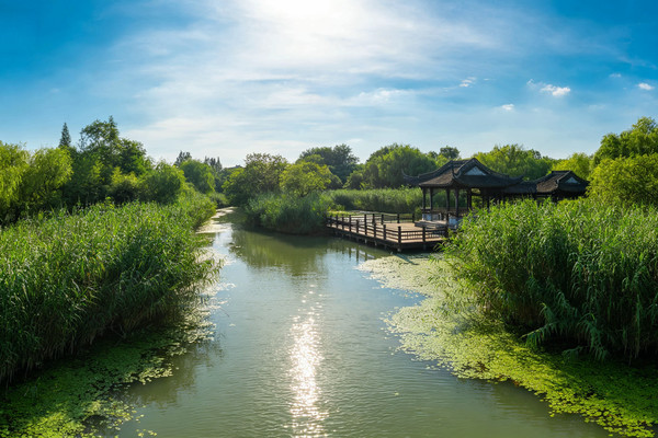Hangzhou West Lake and Xixi Tour | Trip.com Hangzhou