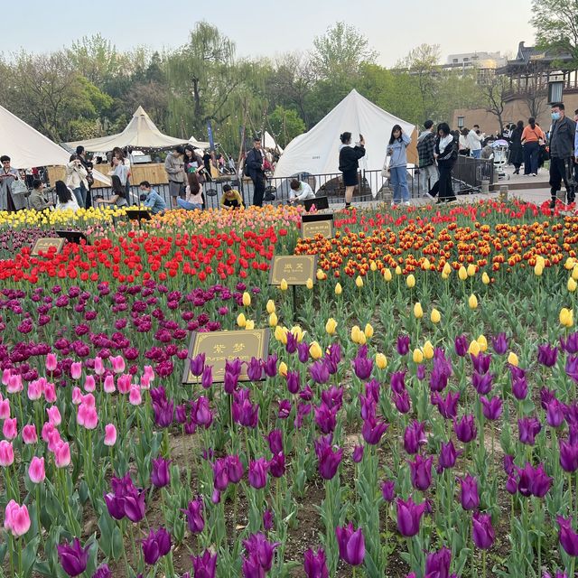 XingQing Palace Park | Trip.com Xi'an