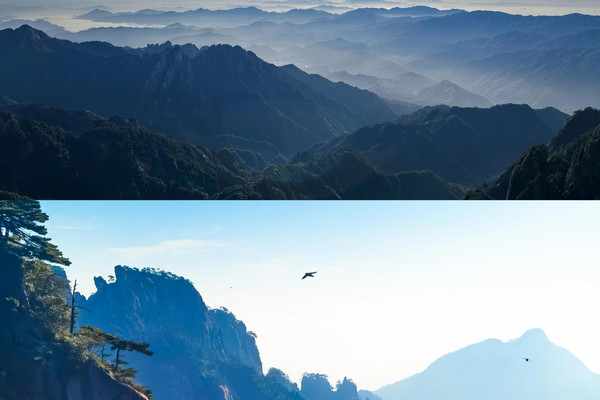 【The Ultimate Huangshan Travel Guide! Don't Miss Out from February to ...