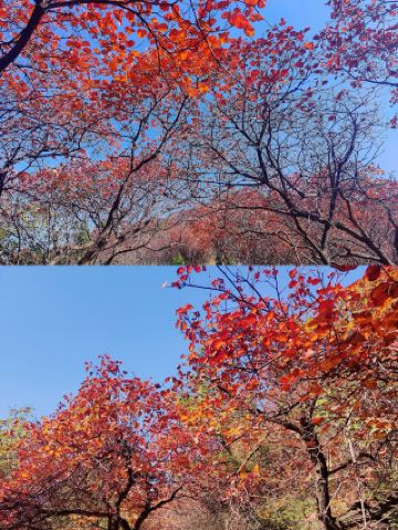 Things to Do in Gongyi in 2024 - Top Attractions, Local Food, Hotels ...