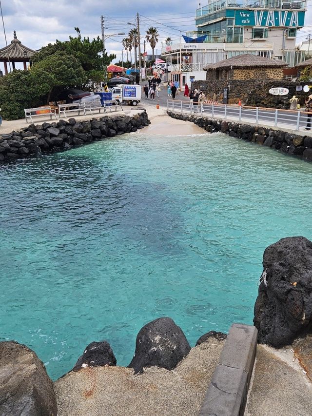 Scenic stroll on AEWOL CAFE STREET. | Trip.com Jeju City