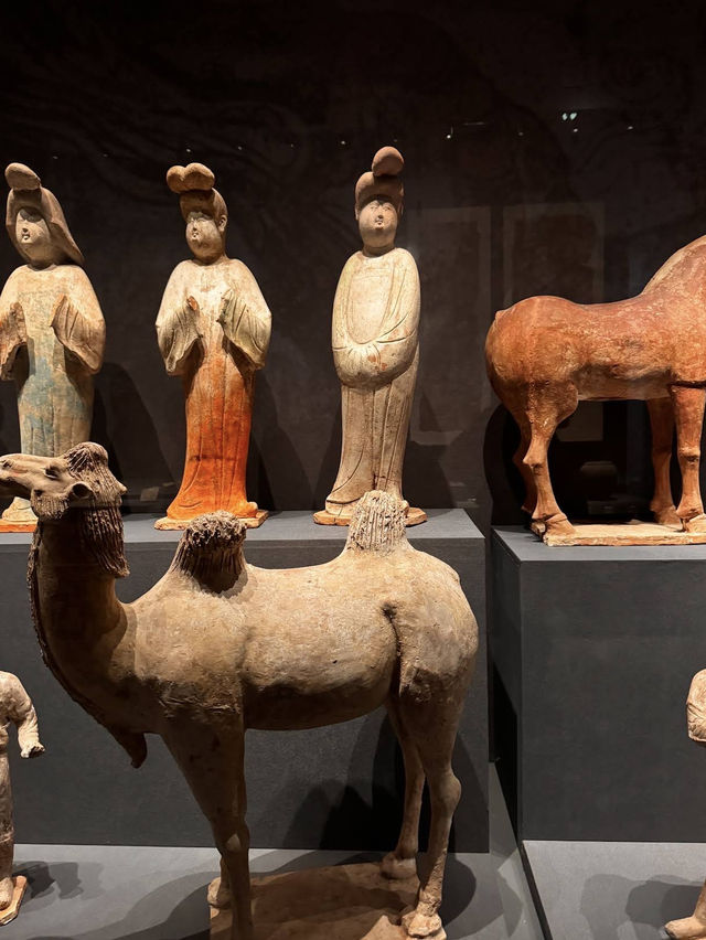 Tang Tri-Colored Horses and Camels｜Trip.com 西安