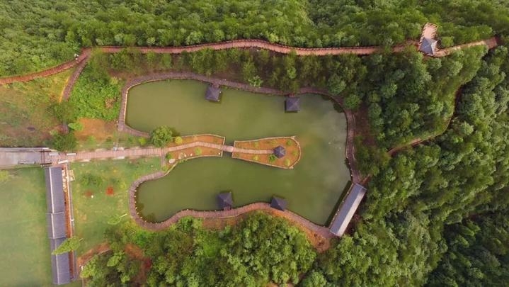 Things to Do in Wencheng in 2025 - Top Attractions, Local Food, Hotels ...