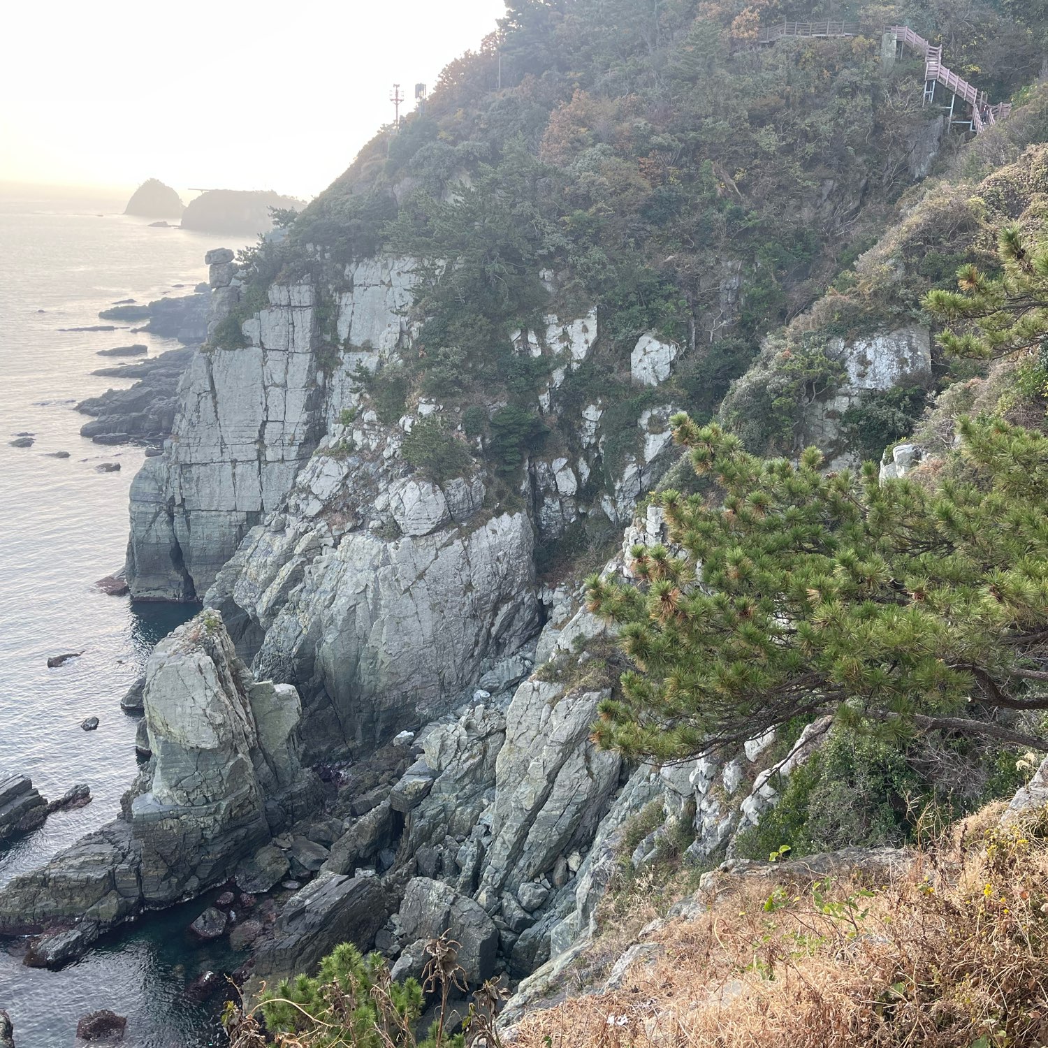 Busan Travel Guide 2023 - Things to Do, What To Eat & Tips | Trip.com