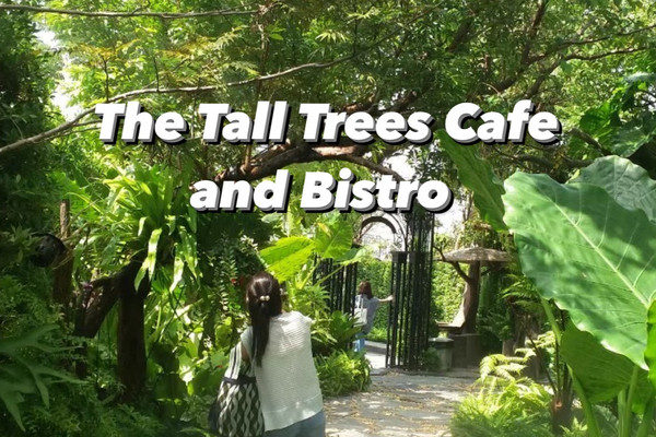 The Tall Trees Cafe and Bistro 🌳🏡 | Trip.com กรุงเทพฯ
