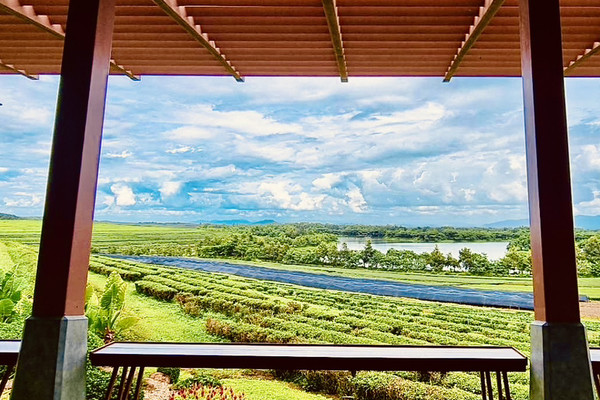 Let's Enjoy the View at Singha Park. | Trip.com Chiang Rai