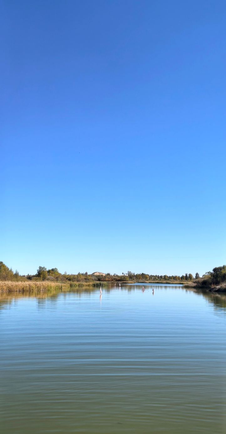 Things to Do in Chifeng in 2024 - Top Attractions, Local Food, Hotels ...