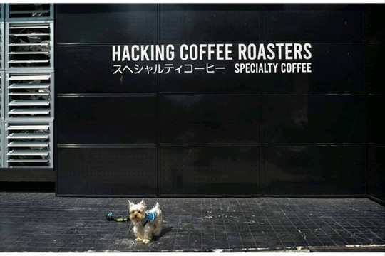 Hacking Coffee Roasters คาเฟ่สุดคูล | Trip.com เขตลาดพร้าว