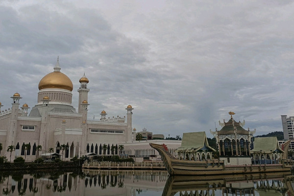 Brunei transit quick trip 🇧🇳 | Trip.com Bandar Seri Begawan