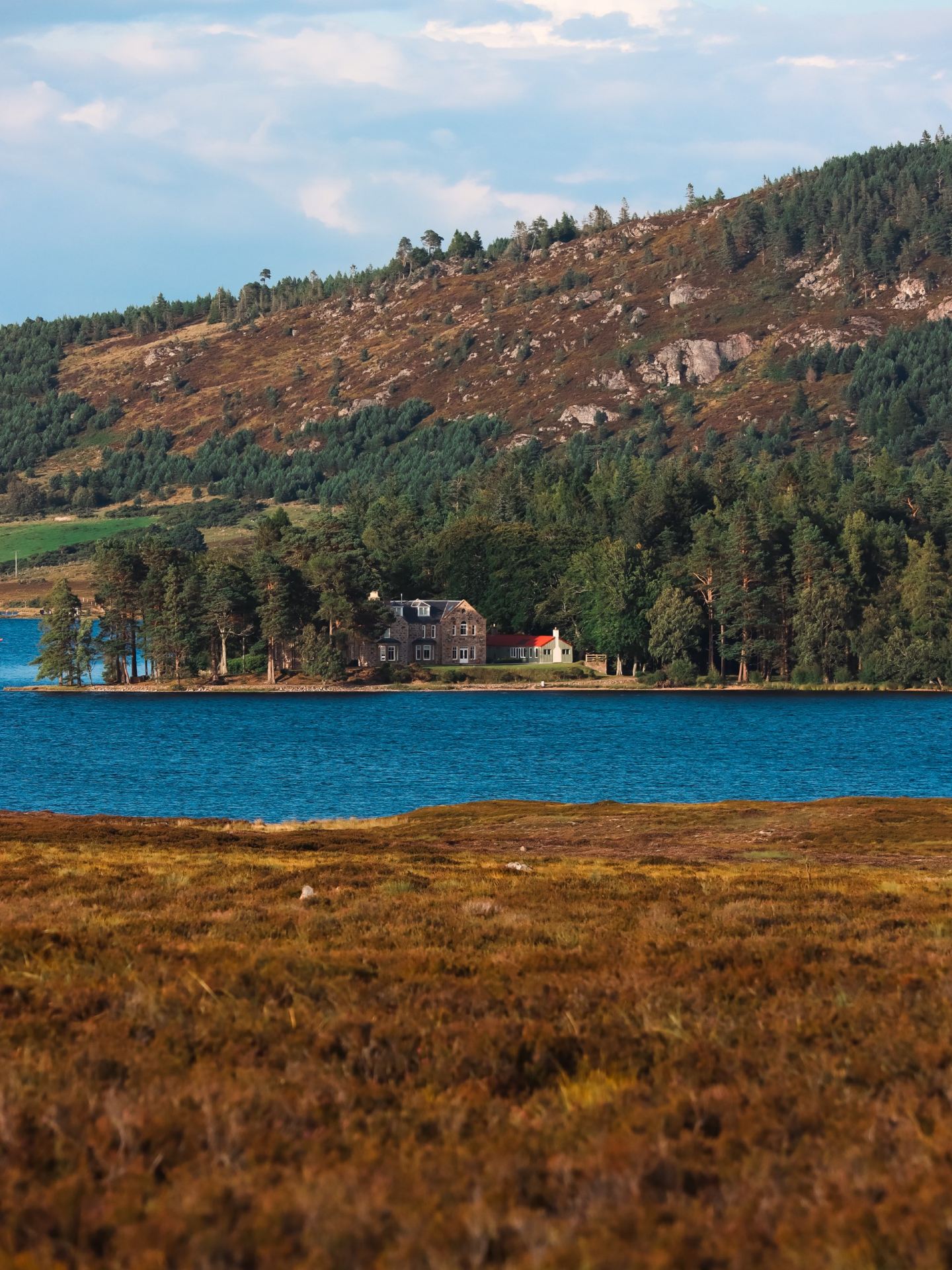 Things to Do in Aviemore in 2025 - Top Attractions, Local Food, Hotels ...