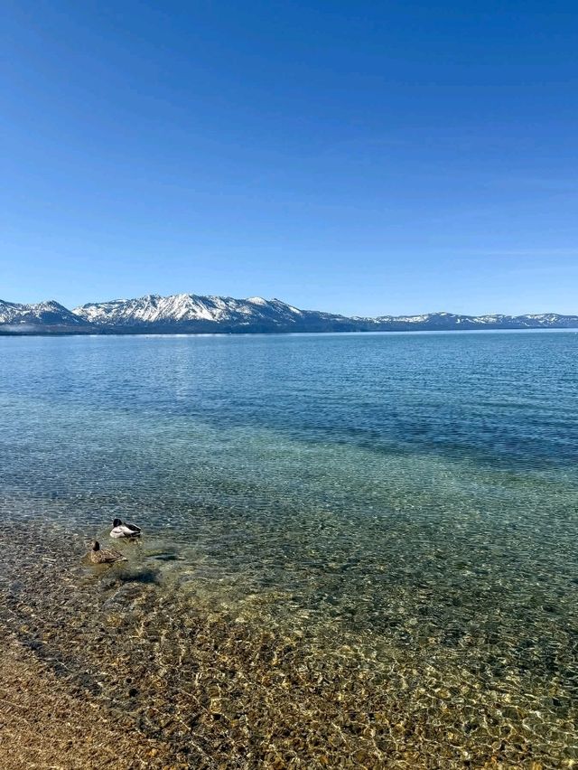 Tahoe Magic | Trip.com Lake Tahoe