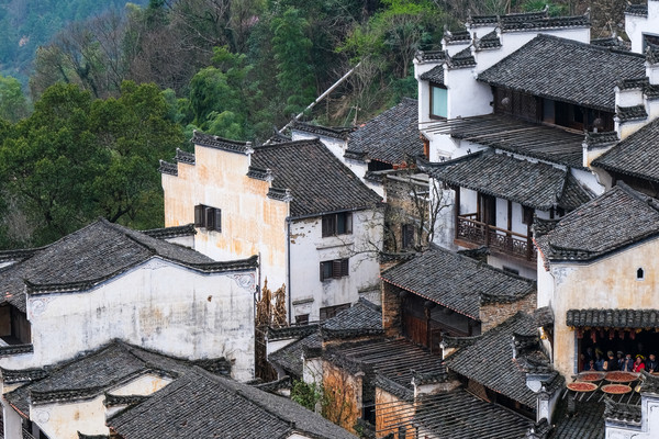 Enjoy the flower viewing at Hongling in Wuyuan, capturing spring in the ...