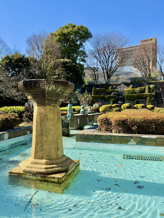 Quiet Reflections by Water at Rekisen Park | Trip.com Tokyo