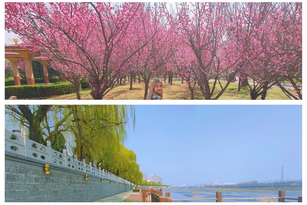 🌞🌸🍂 ️ My four Seasons Along Hebin Road ｜Trip.com 福山區