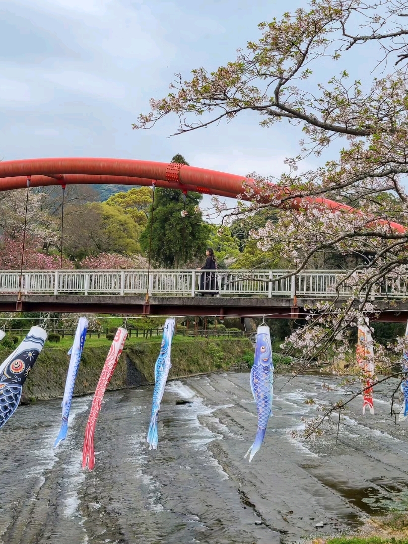 Things to Do in Ureshino in 2025 - Top Attractions, Local Food, Hotels ...