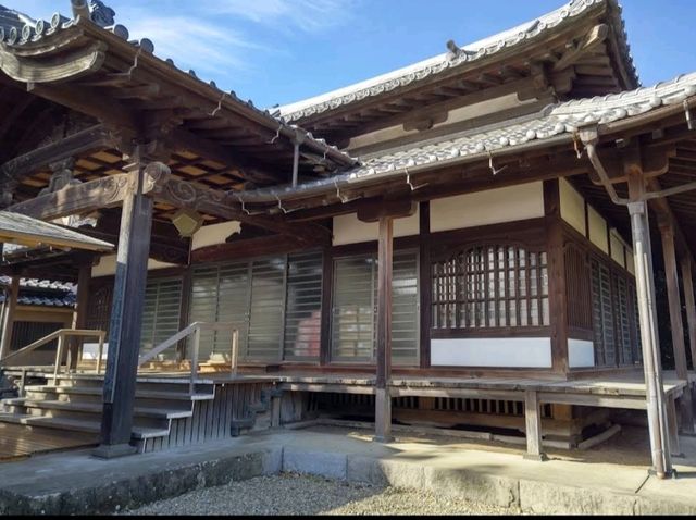 Shogun Temple in Japan -Gokokuji Temple | Trip.com Tokyo