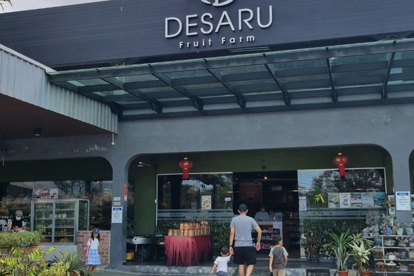Fruits & Fun At Desaru Fruit Farm | Trip.com Kota Tinggi