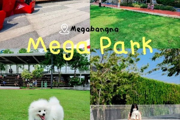 Mega Park สวนสาธารณะสำหรับคนรักน้องหมา | เข้าฟรี! | Trip.com บางพลี