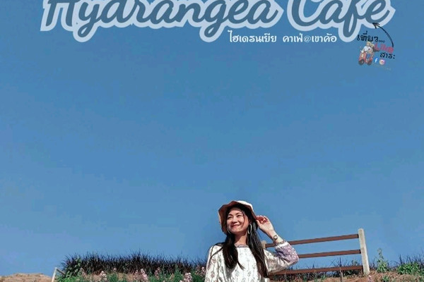 Hydrangea Cafe 🌸🏵 | Trip.com อำเภอ เขาค้อ