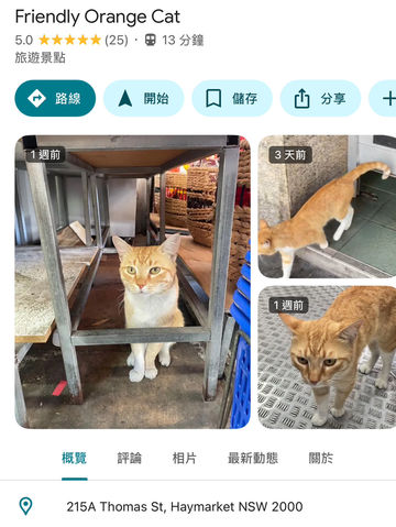 悉尼必去景點|friendly orange cat｜Trip.com 悉尼