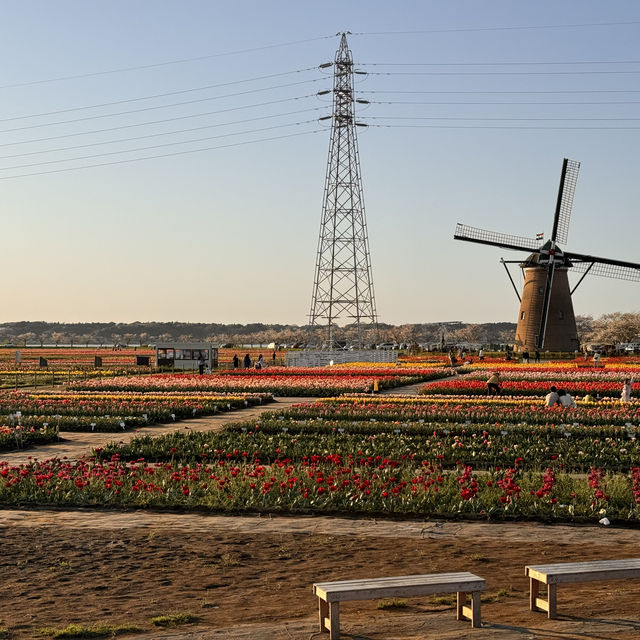 Sakura Hometown square | Trip.com Sakura