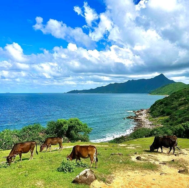 Grass Island Hong Kong | Trip.com Hong Kong