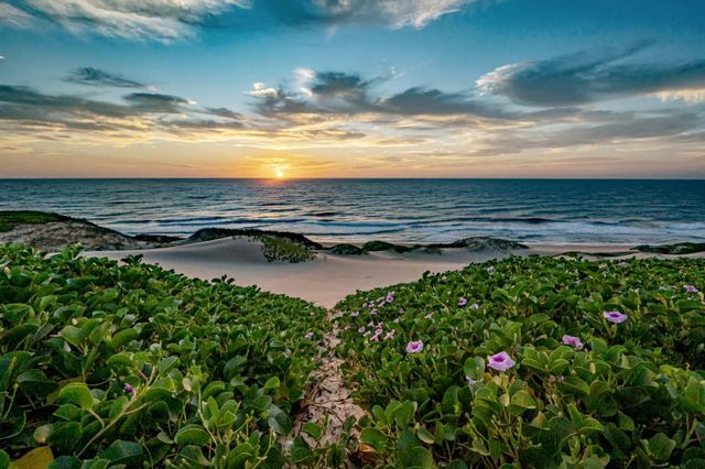 Mozambique Coast Adventure: A Dreamy Place to Dance with Whales | Trip ...
