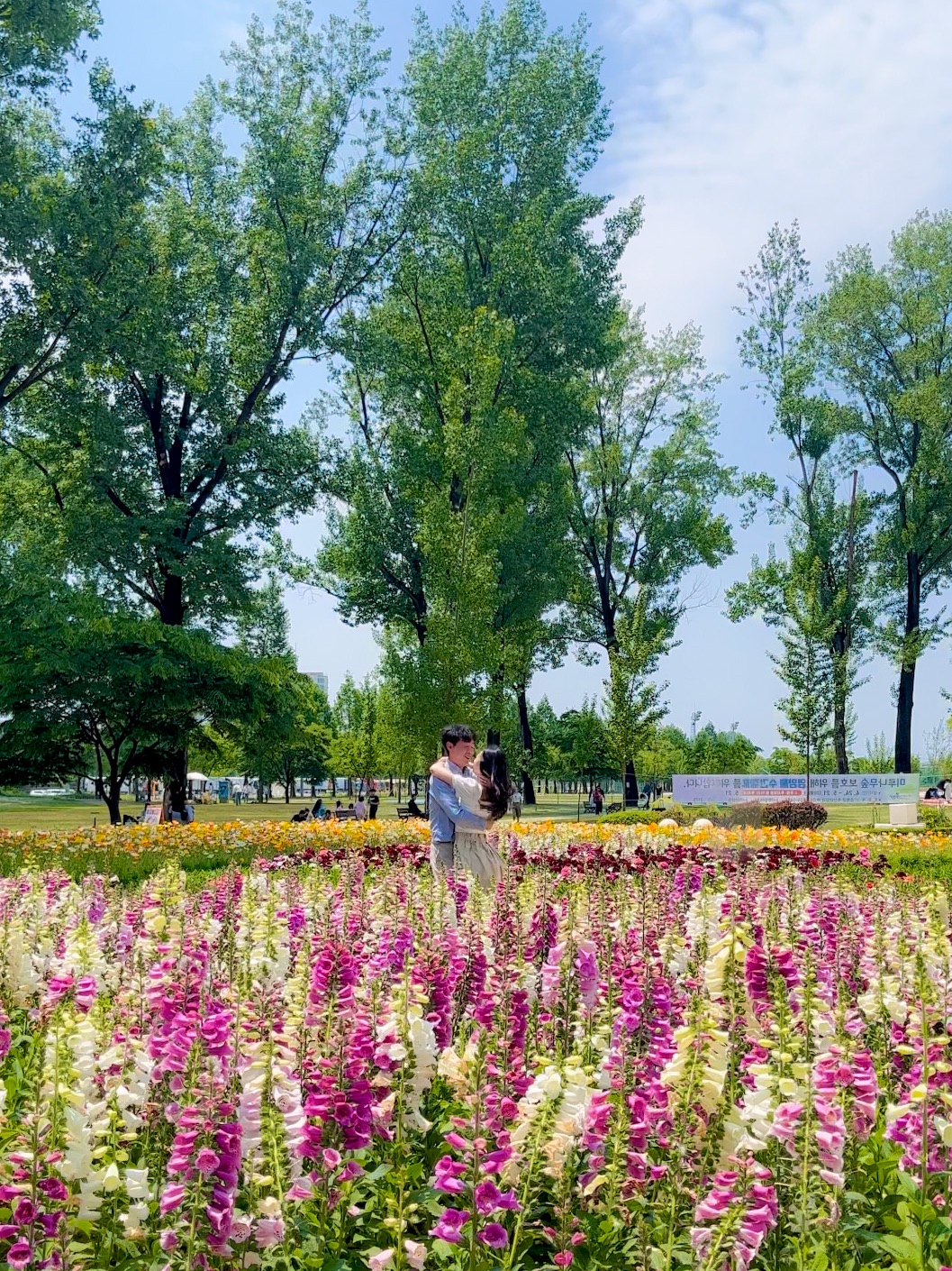 Chungcheongbuk-do Travel Guide 2024 - Things to Do, What To Eat & Tips ...