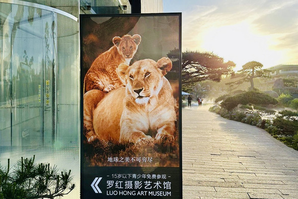 Vibrant Visions: Luo Hong Art Museum | Trip.com ปักกิ่ง