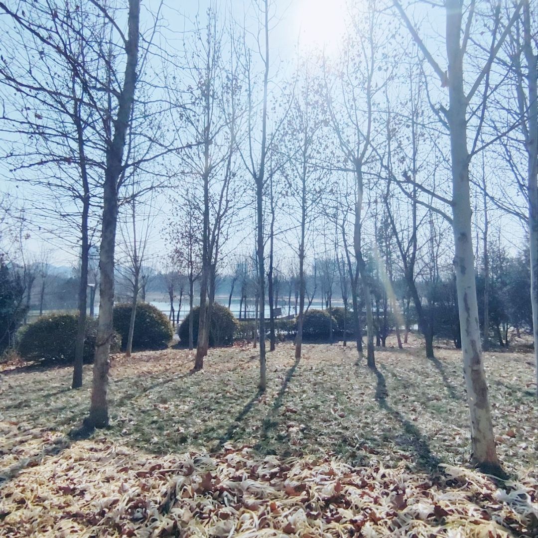 Zibo Travel Guide 2023 - Things to Do, What To Eat & Tips | Trip.com