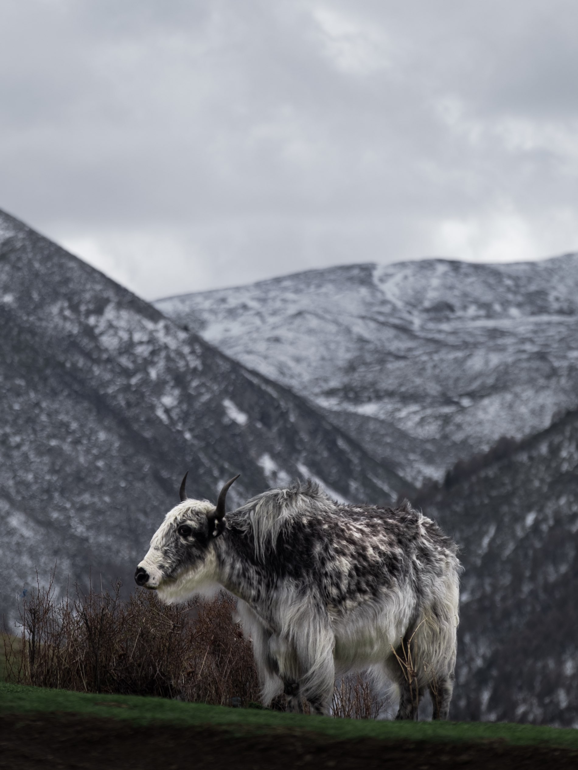 Ganzi County Travel Guide 2024 - Things to Do, What To Eat & Tips ...