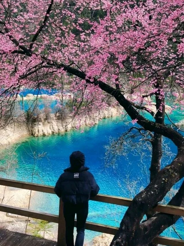 The lake is incredibly blue💙 and the pink peach in Chengdu ️‍🔥 | Trip ...