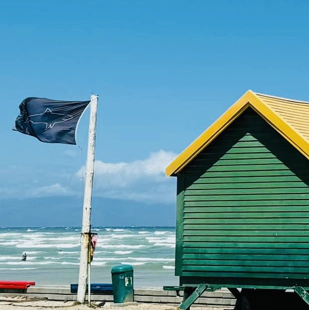 Sandy Toes and Sun-Kissed Nose: Muizenberg Beach Magic | Trip.com ...