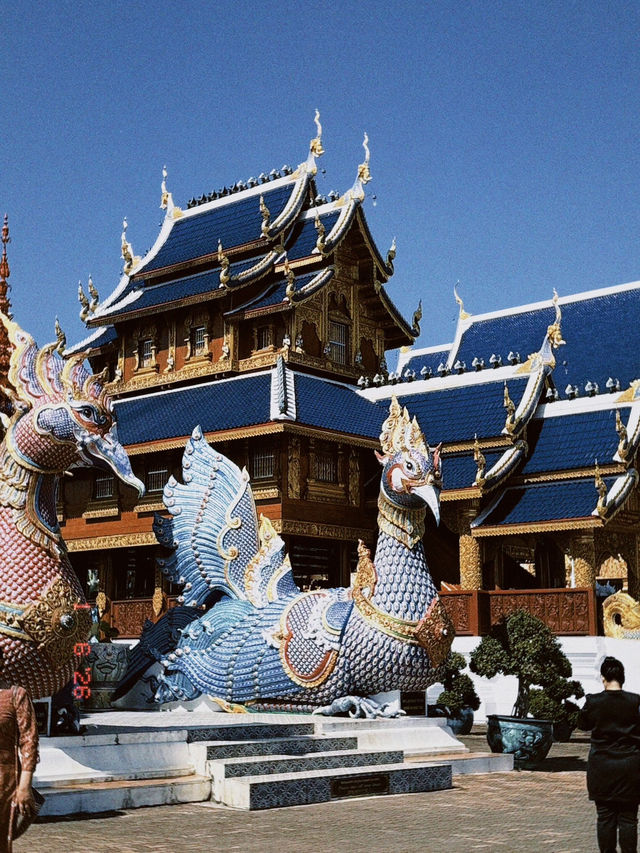 🇹🇭 Chiang Mai Blue Temple (Wat Rong Suea Ten) 🌿💙 | Trip.com Chiang Mai