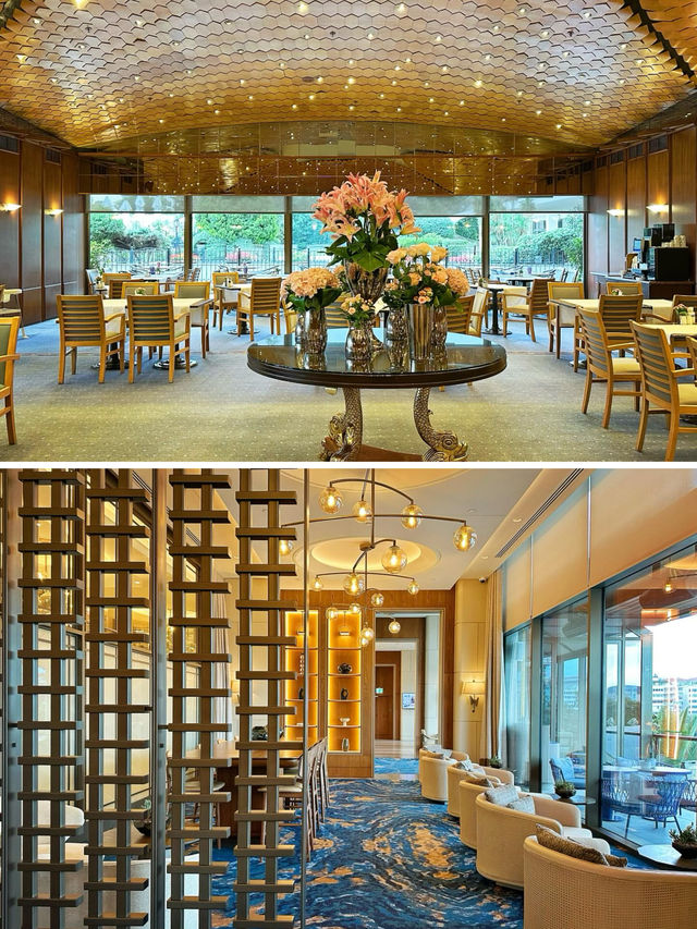 土耳其必住《純真博物館》同款奢華酒店貓咪控天堂！｜Trip.com 伊斯坦堡